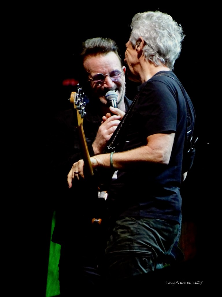 Thank You: U2 in Australia – In Search of Rock Gods