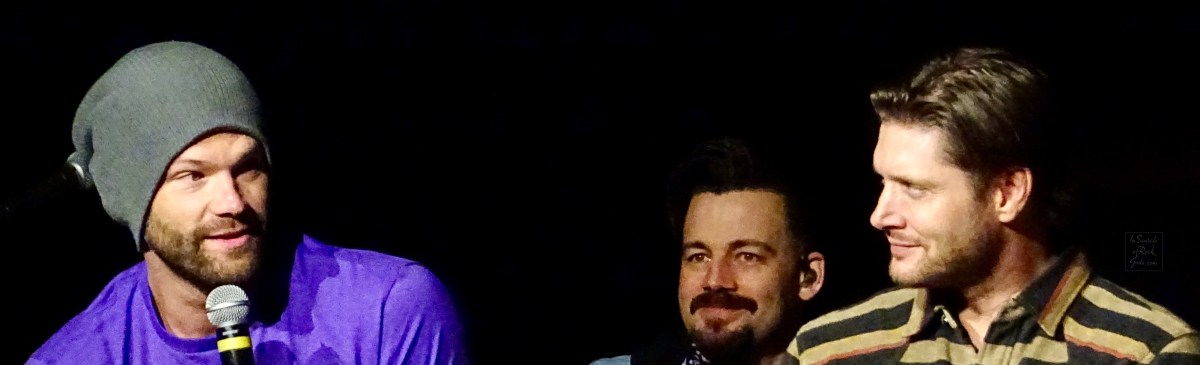 Phoenix Rising: A Tale of a Supernatural Convention in Vegas – In ...