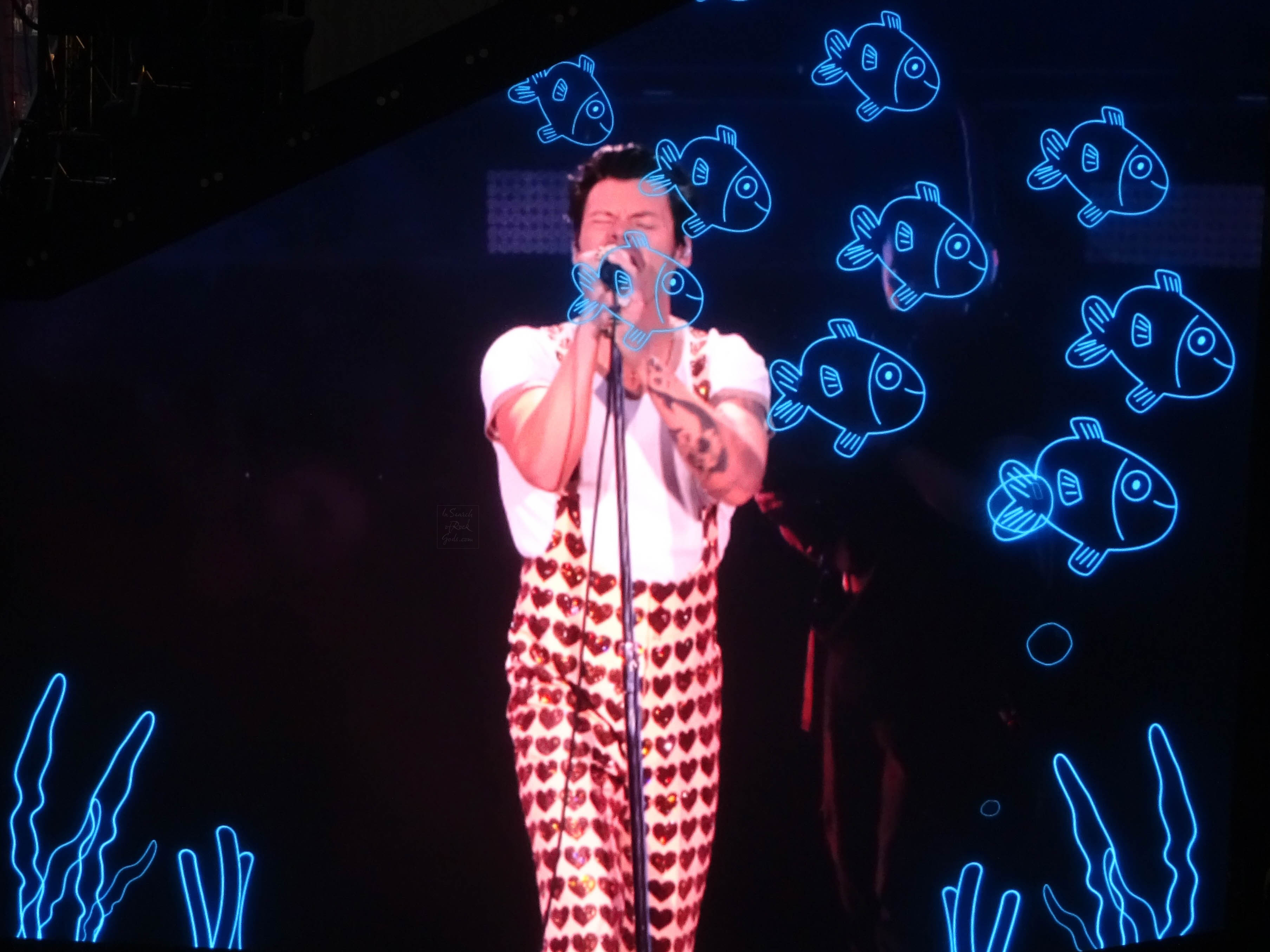 Harry Styles Fish Love on Tour Wembley Stadium London June 13 20 – In ...